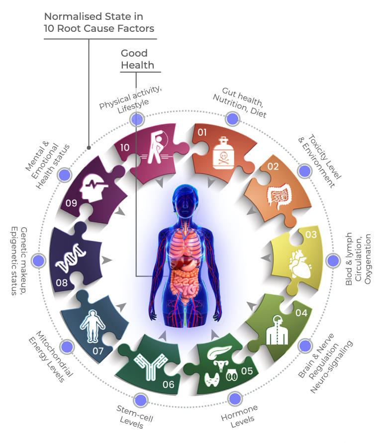 Integrated & Holistic Chronic Disease Treatment Program | Heal Within®