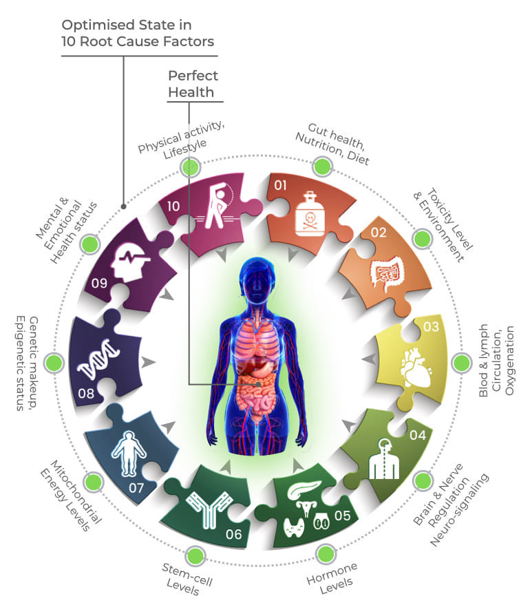Integrated & Holistic Chronic Disease Treatment Program | Heal Within®